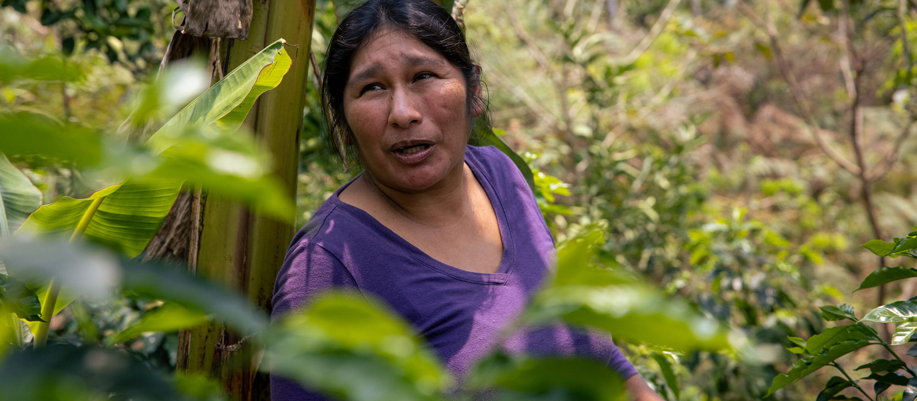 CacaoConecta - Empowering youth through integrated productive and ...